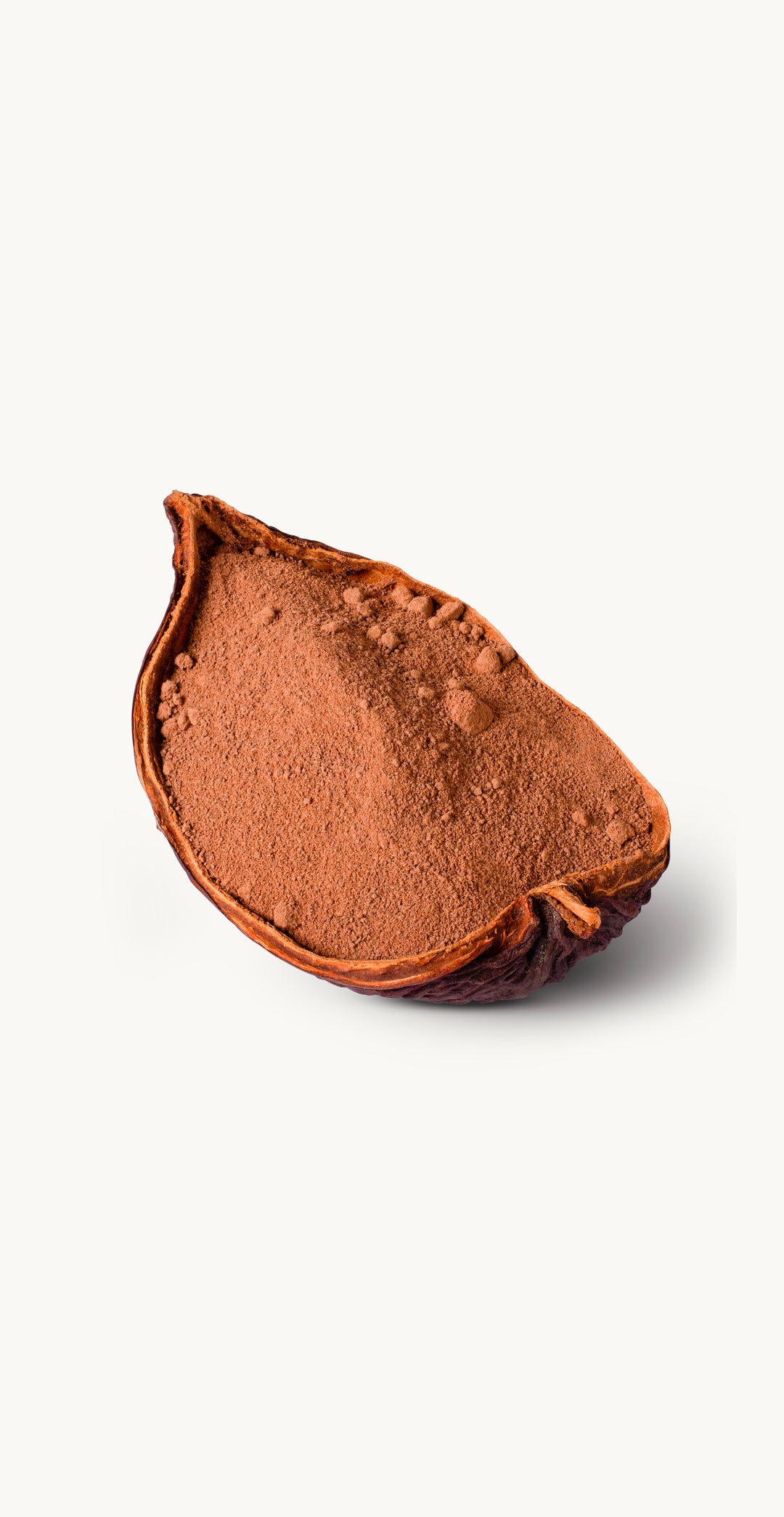 BASSAN: Quebec chocolate manufacturer – Bassan